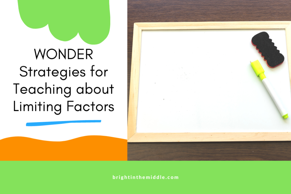 5 Ways to Teach Ecosystem Limiting Factors with the WOW Factor - Bright ...