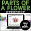 Flower Structures Interactive Lesson - Bright in the Middle