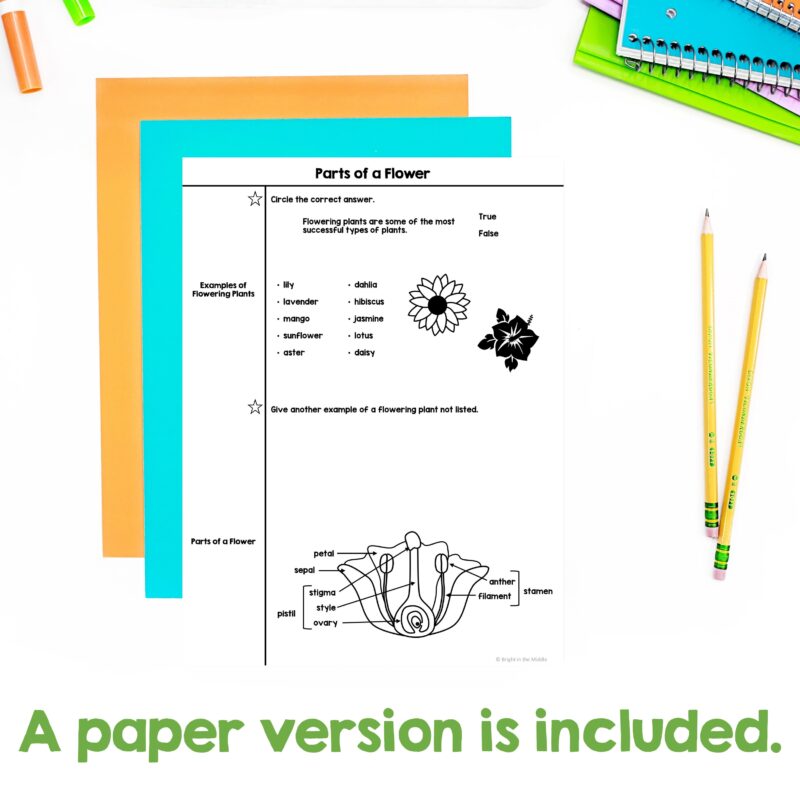 Flower Structures Interactive Lesson - Bright in the Middle
