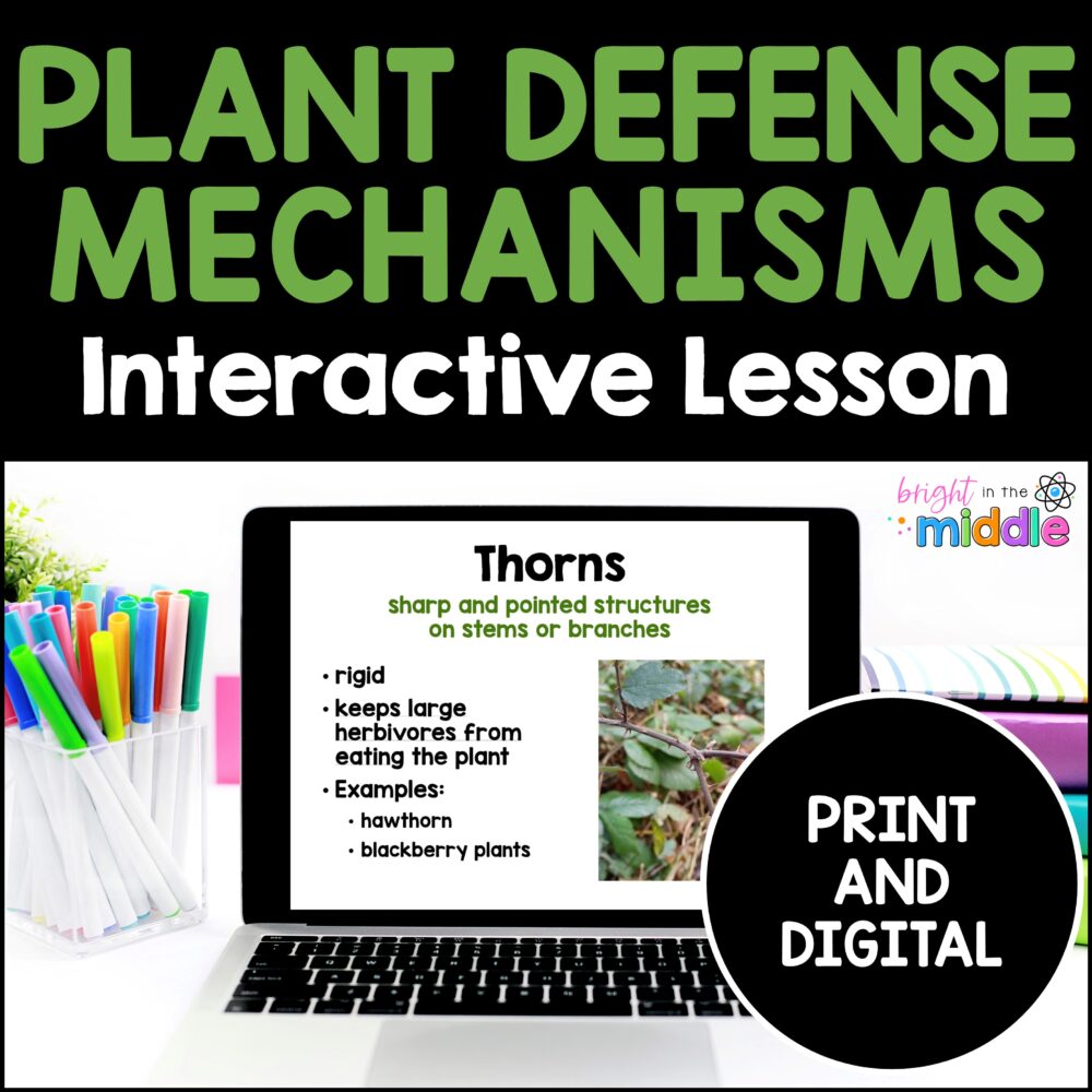 Plant Defense Mechanisms Lesson - Bright in the Middle