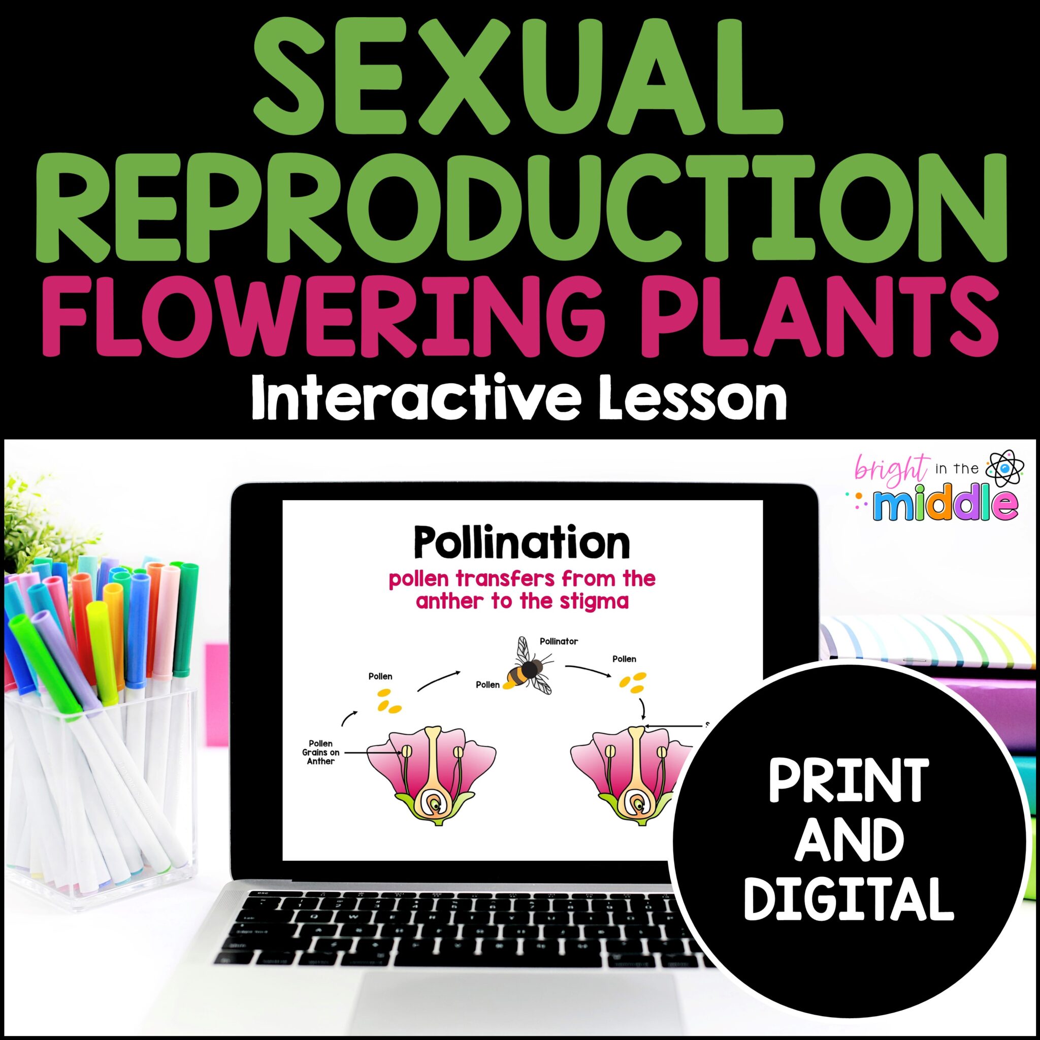 Sexual Reproduction in Flowering Plants - Bright in the Middle