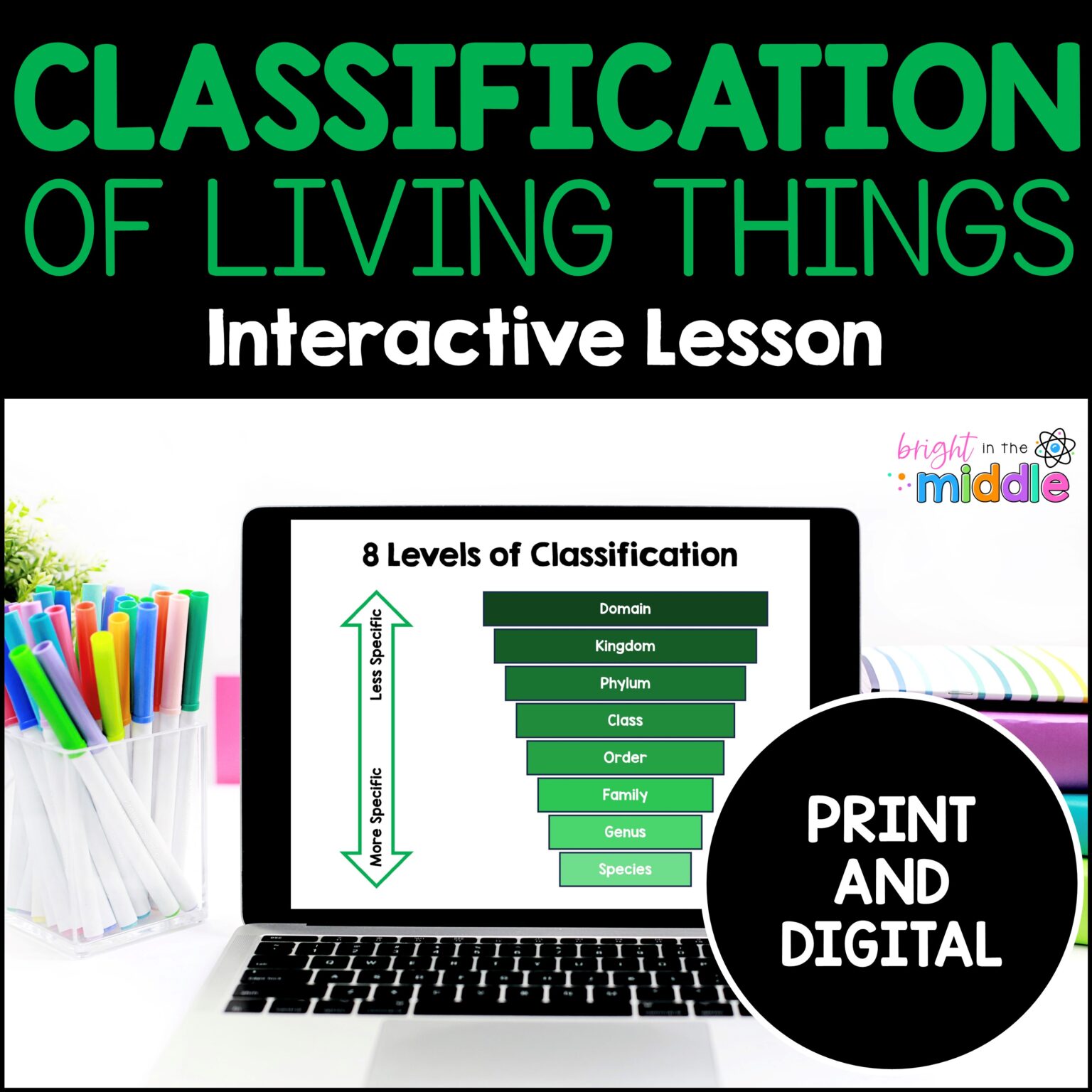 Classification of Living Things By Level Lesson - Bright in the Middle