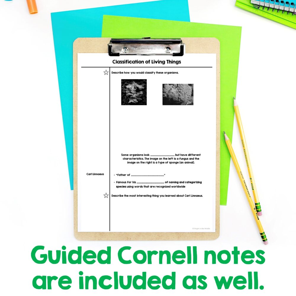 Classification of Living Things By Level Lesson - Bright in the Middle