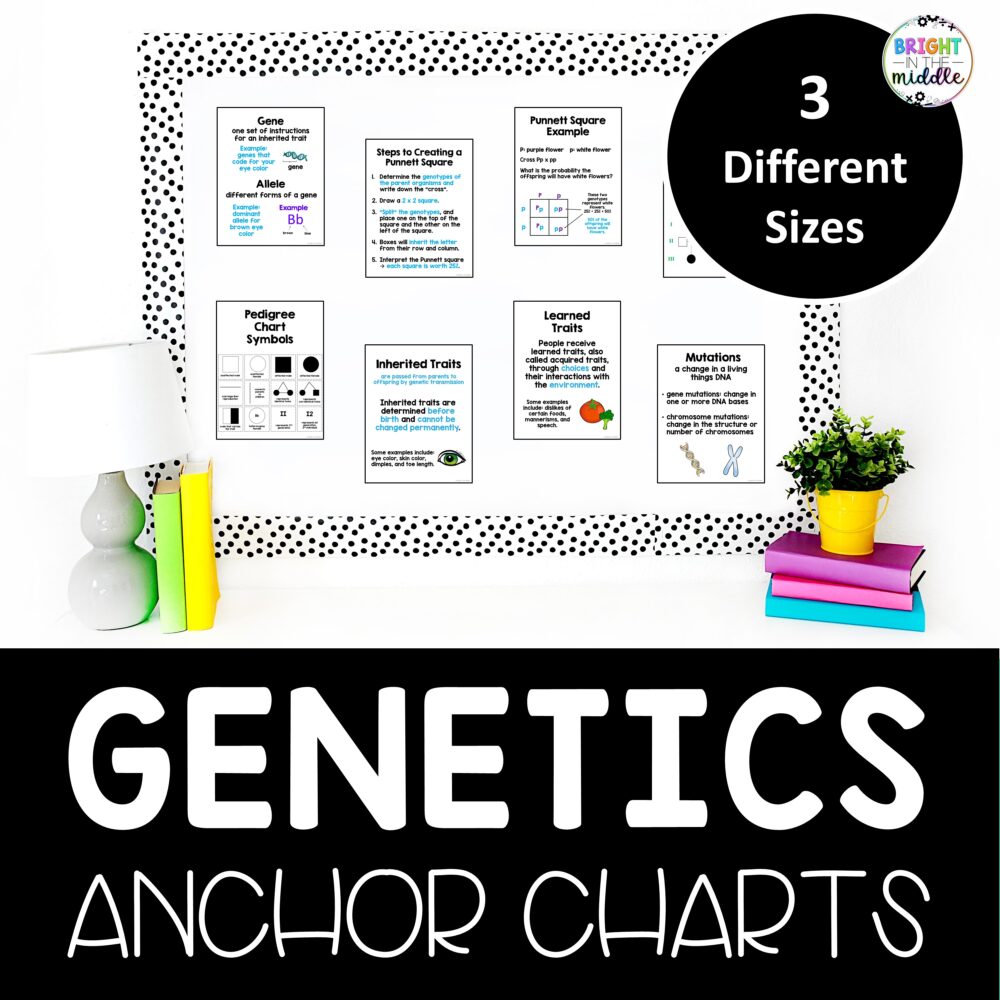 Genetics Anchor Chart Posters - 3 Sizes - Bright in the Middle