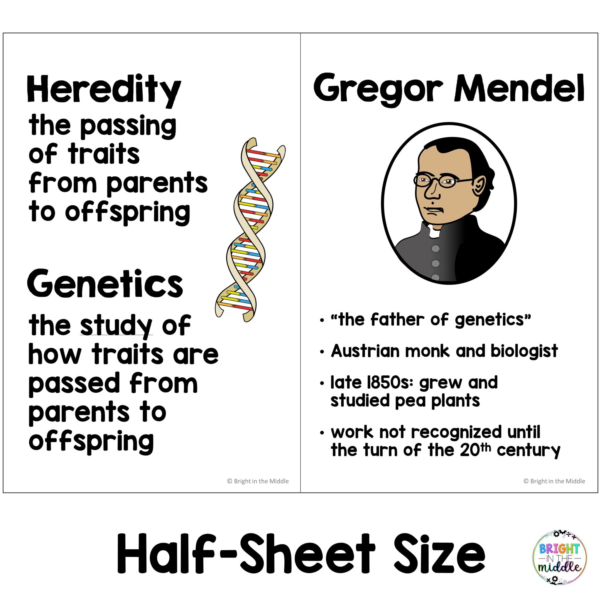 Genetics Anchor Chart Posters - 3 Sizes - Bright in the Middle