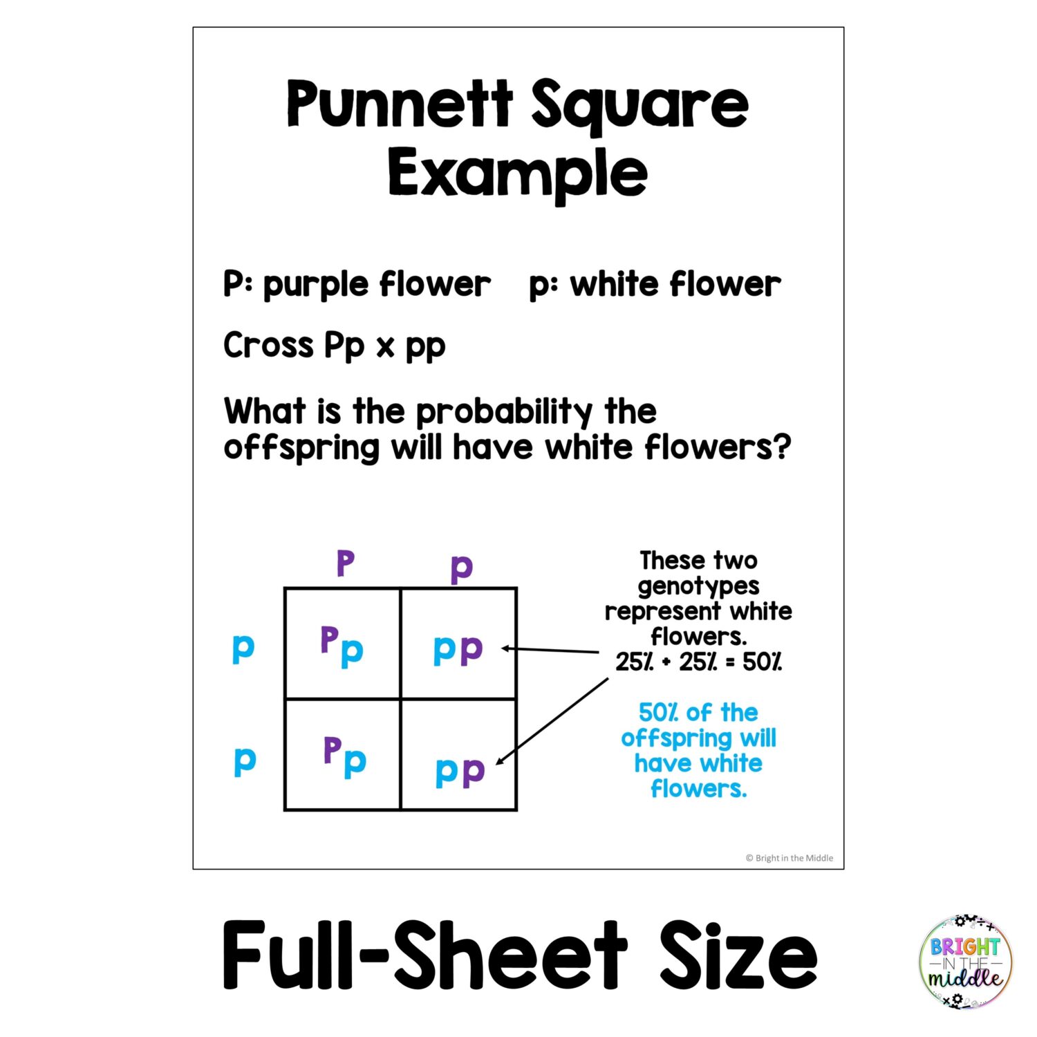 Genetics Anchor Chart Posters - 3 Sizes - Bright in the Middle
