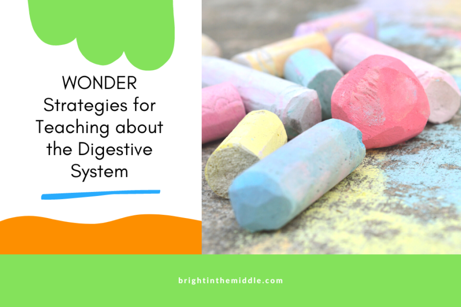 7 Digestive System Lesson Ideas to Bring the WOW Factor - Bright in the ...