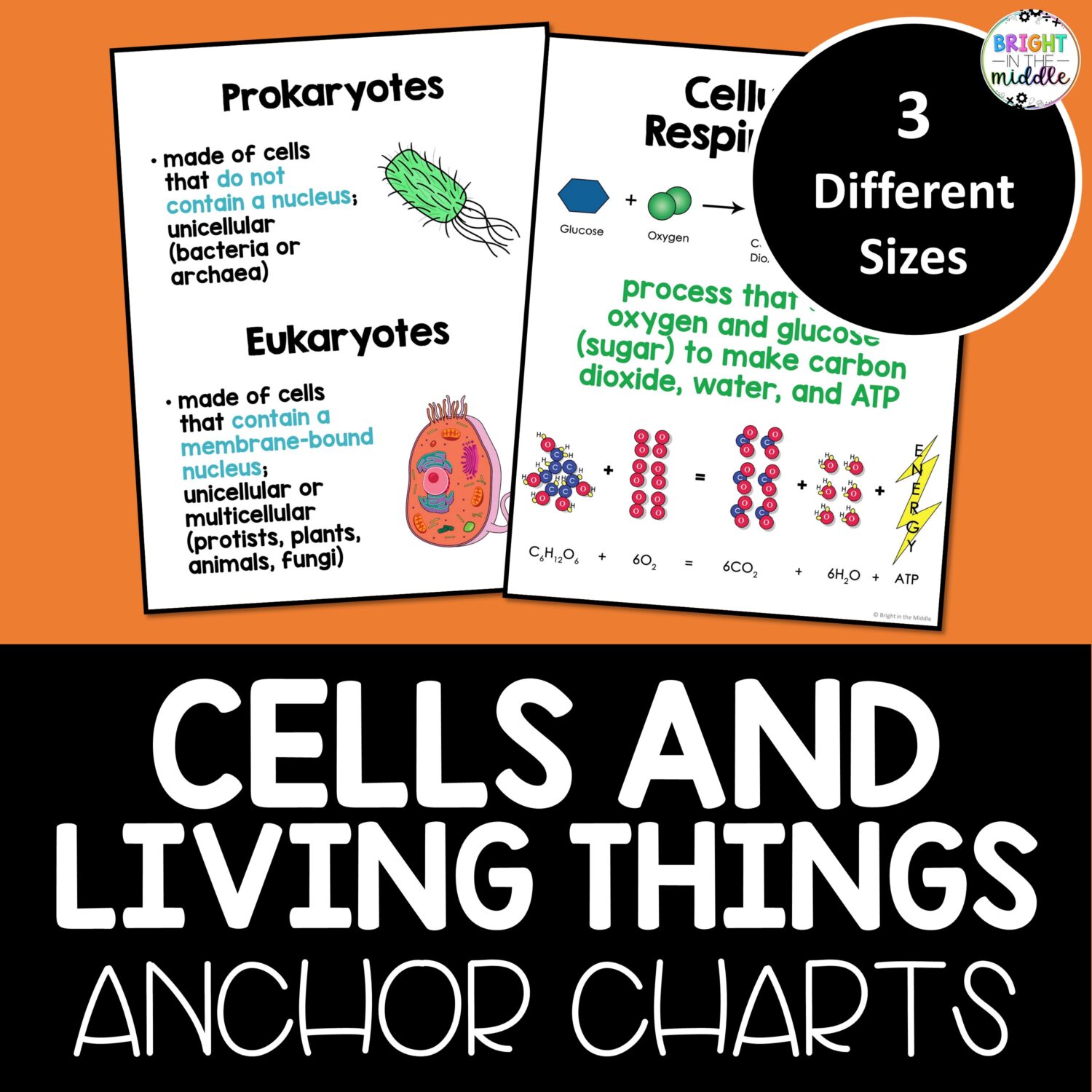 Living Things Anchor Chart Posters - Bright in the Middle