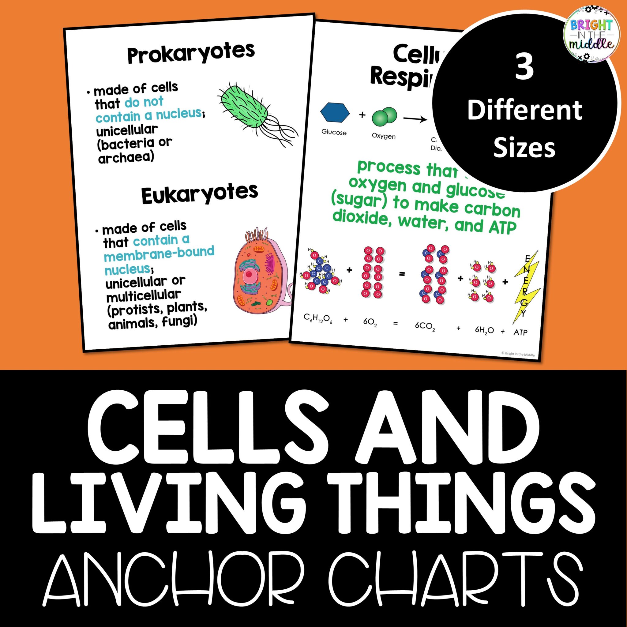 Living Things Anchor Chart Posters - Bright in the Middle