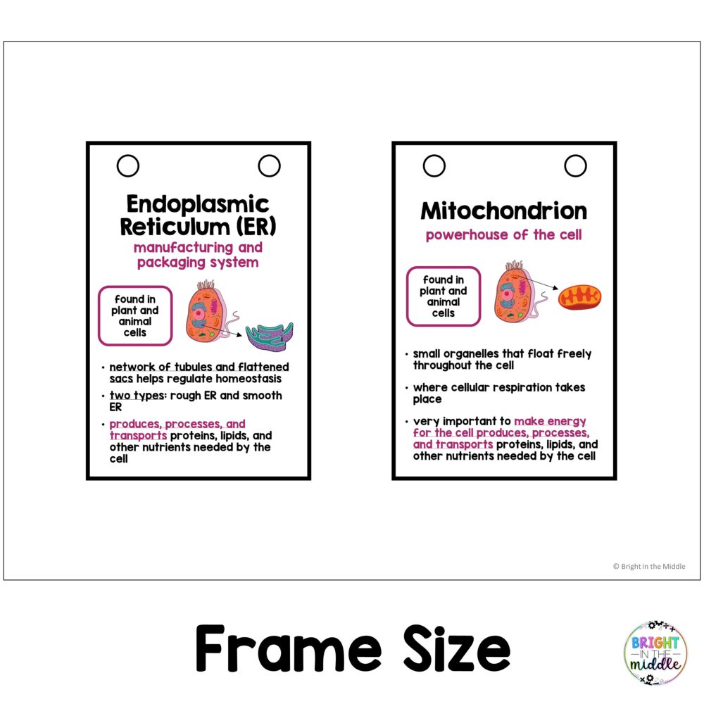 Living Things Anchor Chart Posters - Bright in the Middle