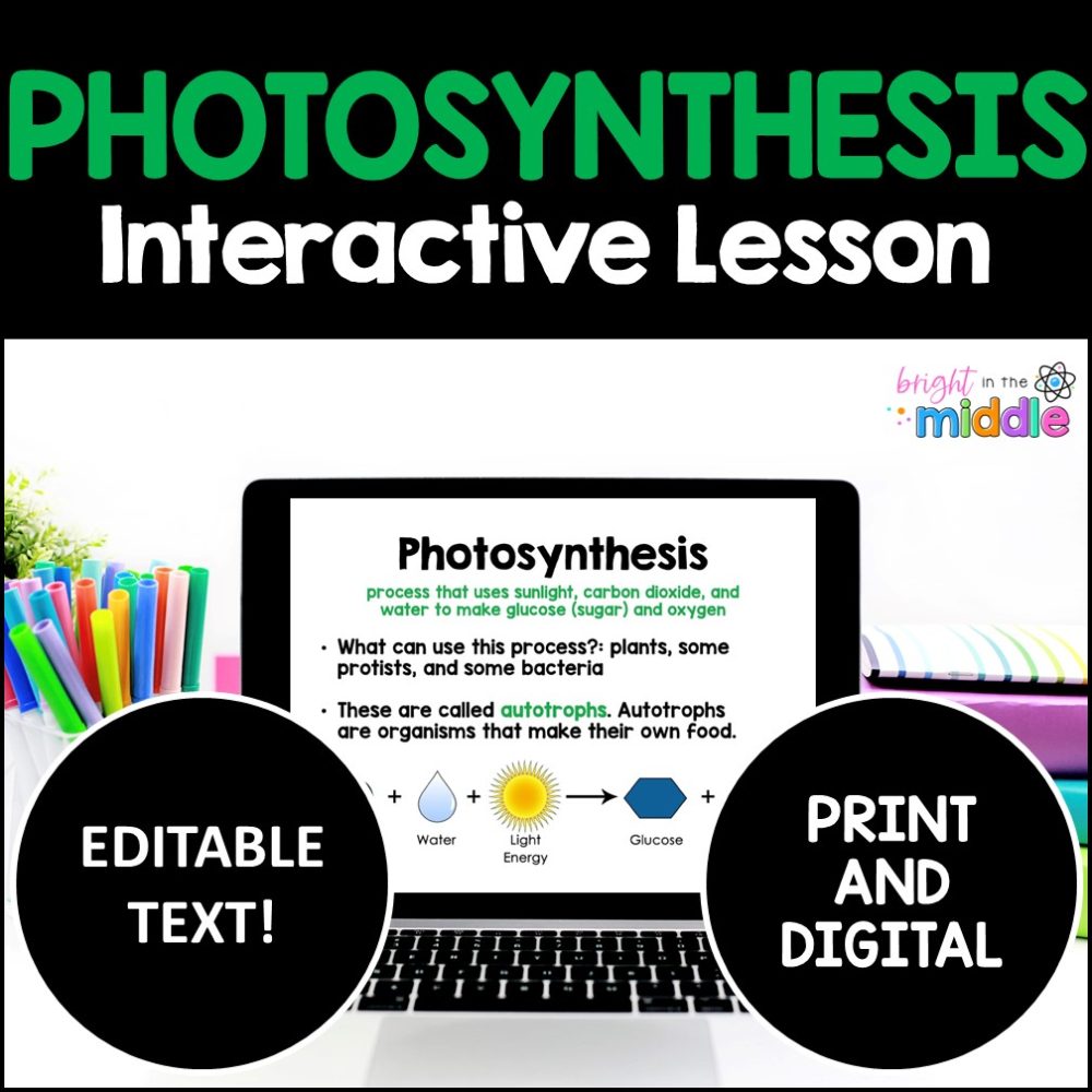 Photosynthesis Lesson - Bright in the Middle