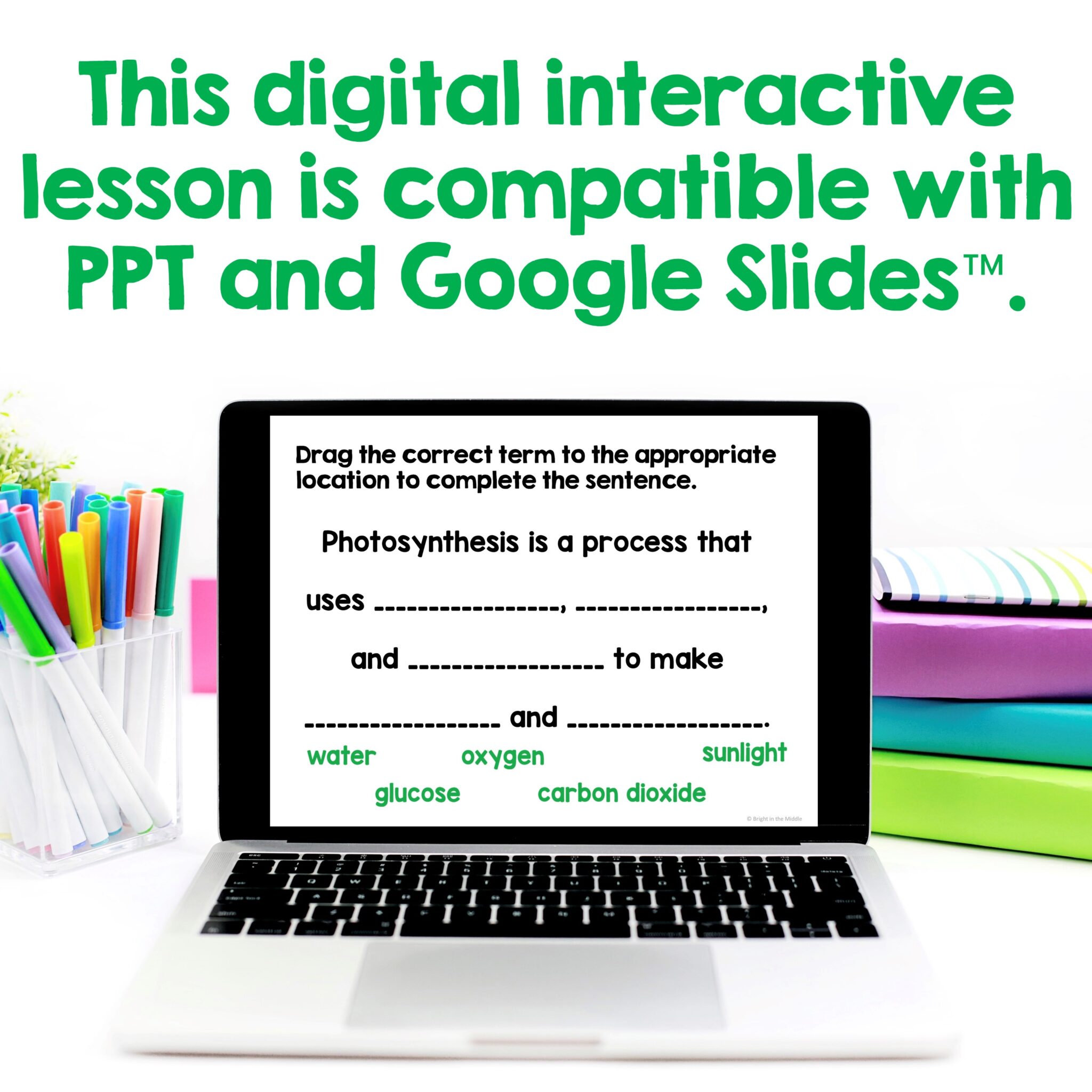Photosynthesis Lesson - Bright in the Middle