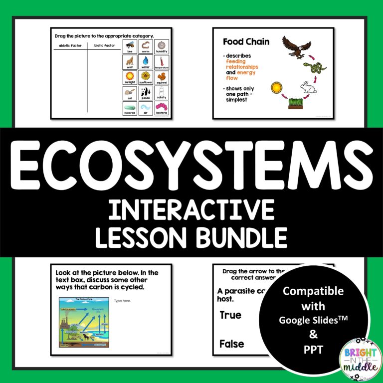 Ecosystems Lesson Bundle - Bright in the Middle