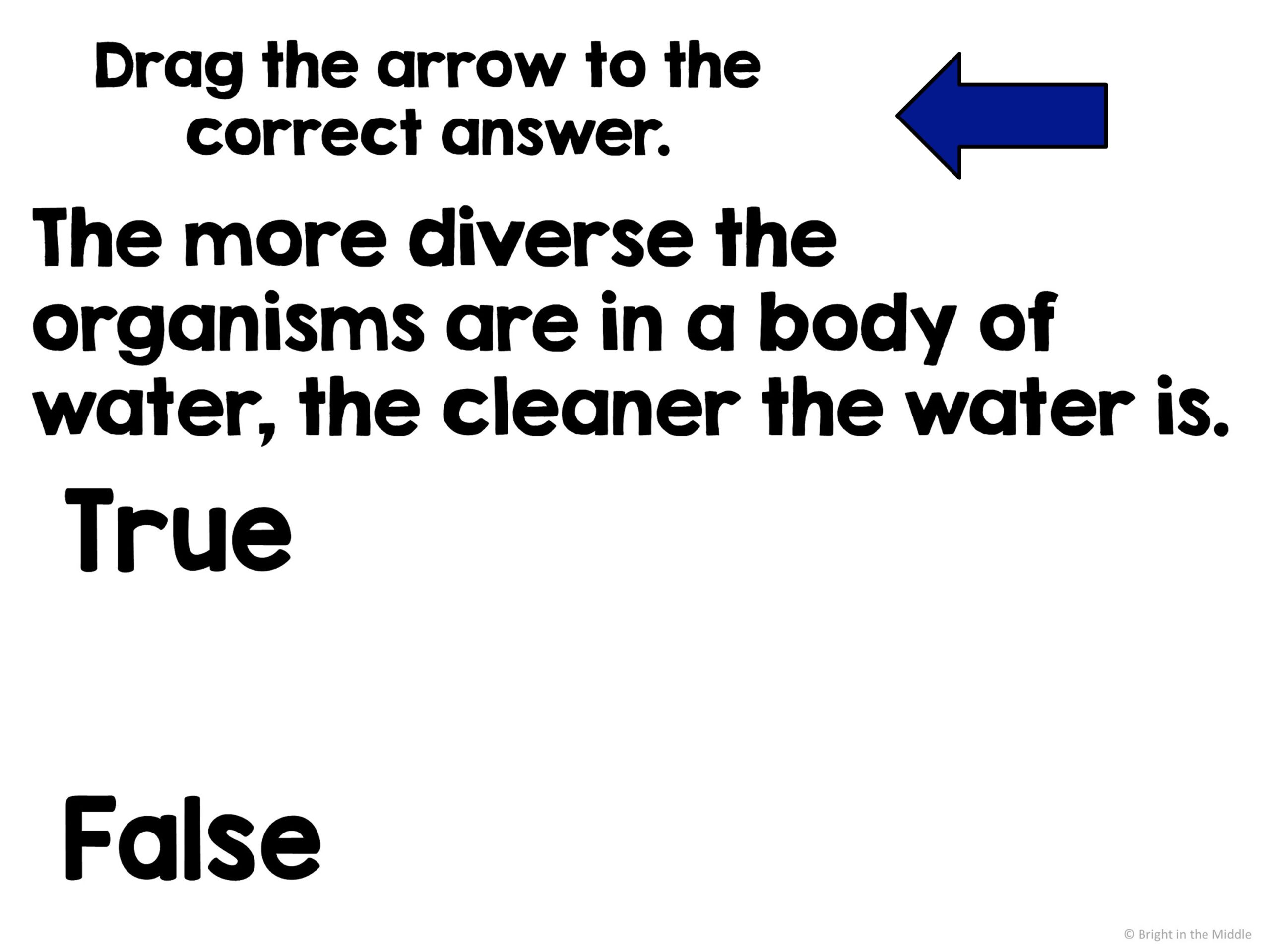 Hydrosphere Lesson Bundle - Interactive - Bright in the Middle