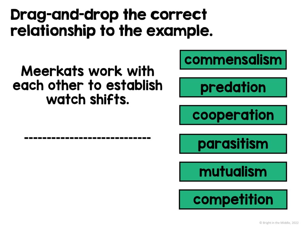 Ecosystems Lesson Bundle - Bright in the Middle