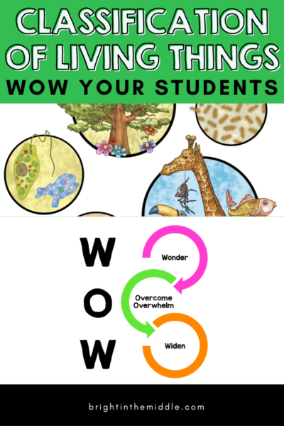 7 WOW Ideas to Teach Taxonomy Classification of Living Things - Bright ...