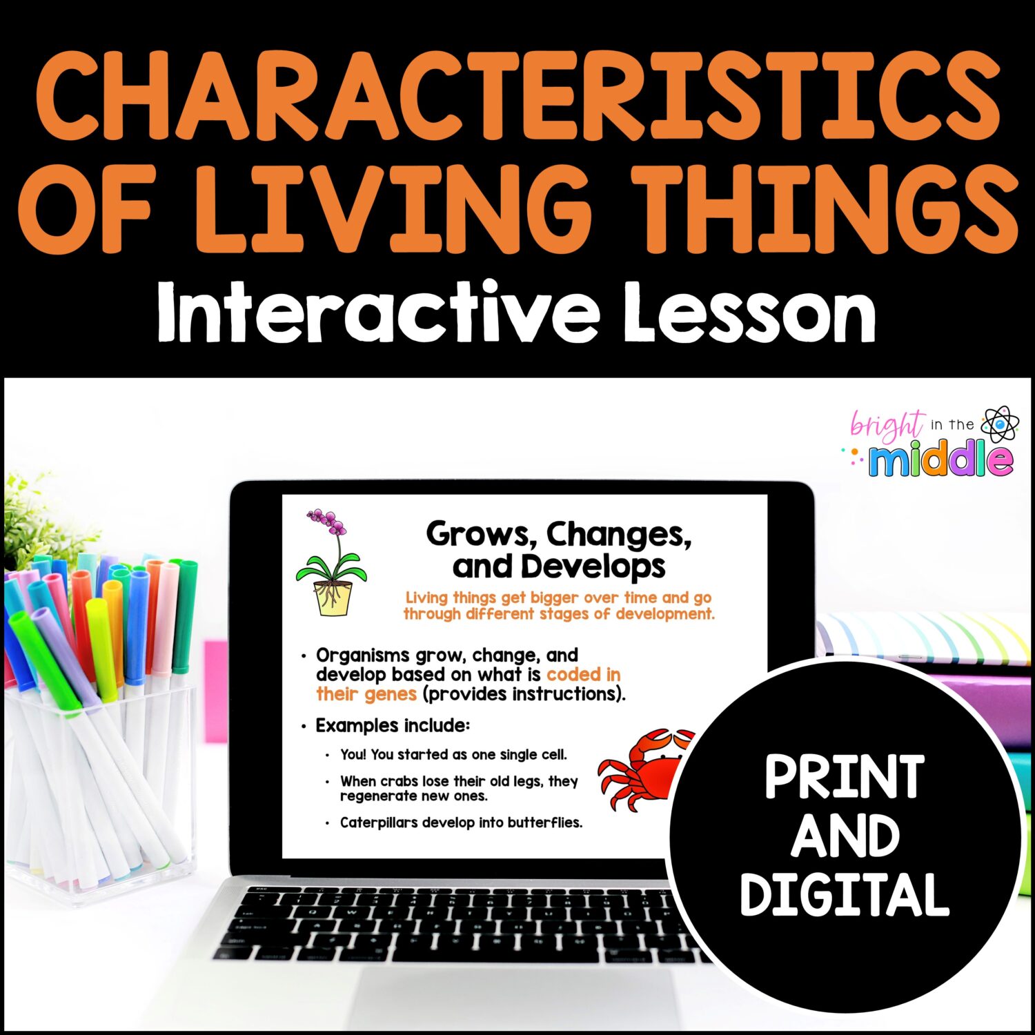 Characteristics of Living Things Lesson - Interactive - Bright in the ...