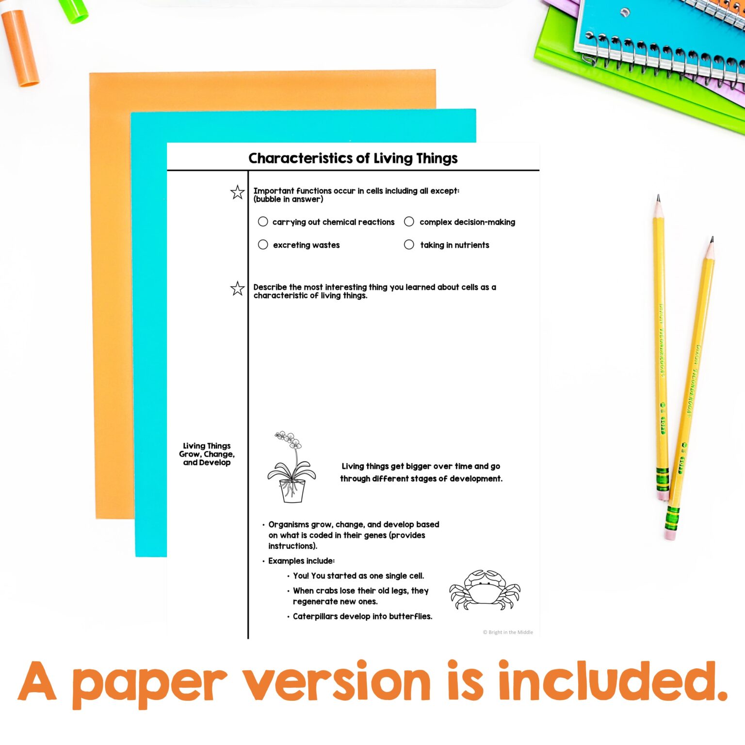 Characteristics of Living Things Lesson - Interactive - Bright in the ...