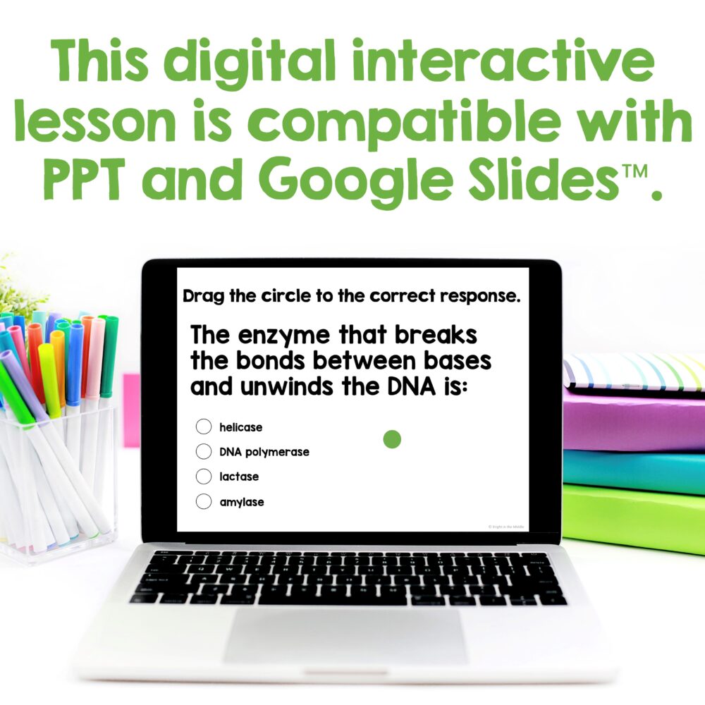 DNA Structure and DNA Replication Interactive Lesson - Bright in the Middle