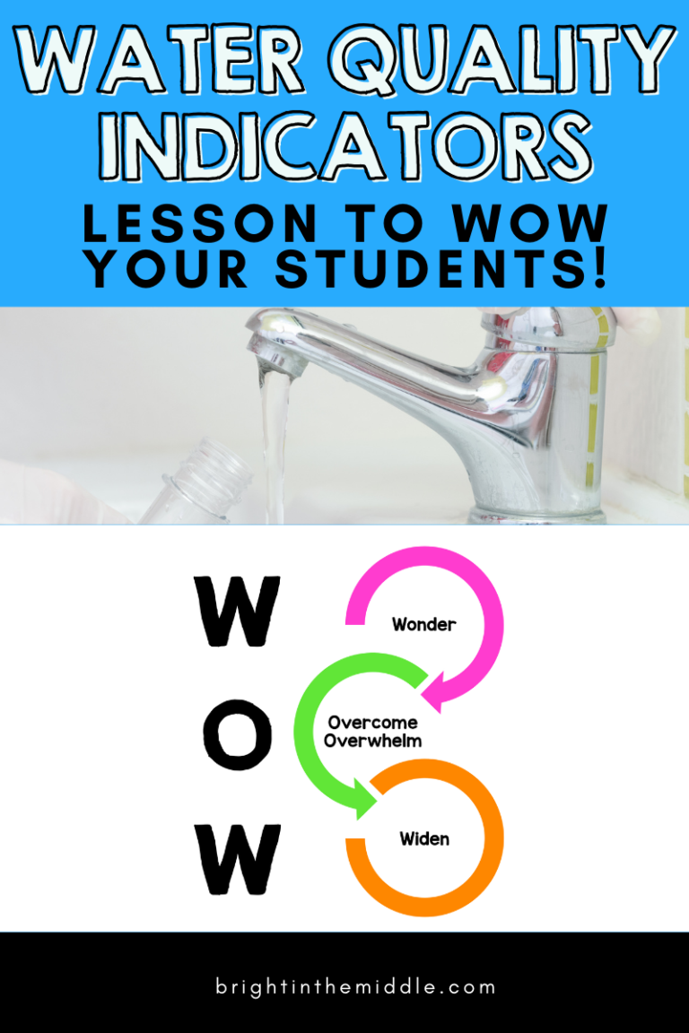 5 Awesome Water Quality Activities to WOW Your Students - Bright in the ...