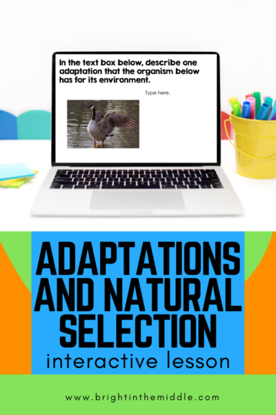 5 WOW Ideas for Teaching Adaptations in Middle School - Bright in the ...