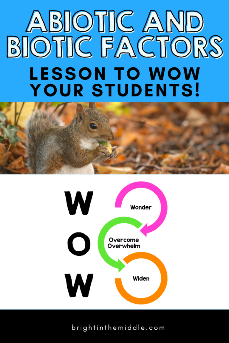 7 WOW Ideas to Teach the Difference Between Abiotic and Biotic Factors ...