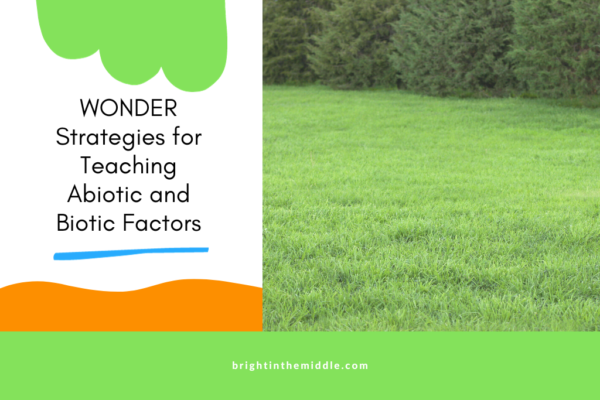 7 WOW Ideas to Teach the Difference Between Abiotic and Biotic Factors ...