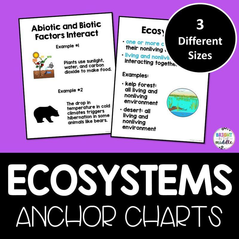 Ecosystems Posters - Bright in the Middle