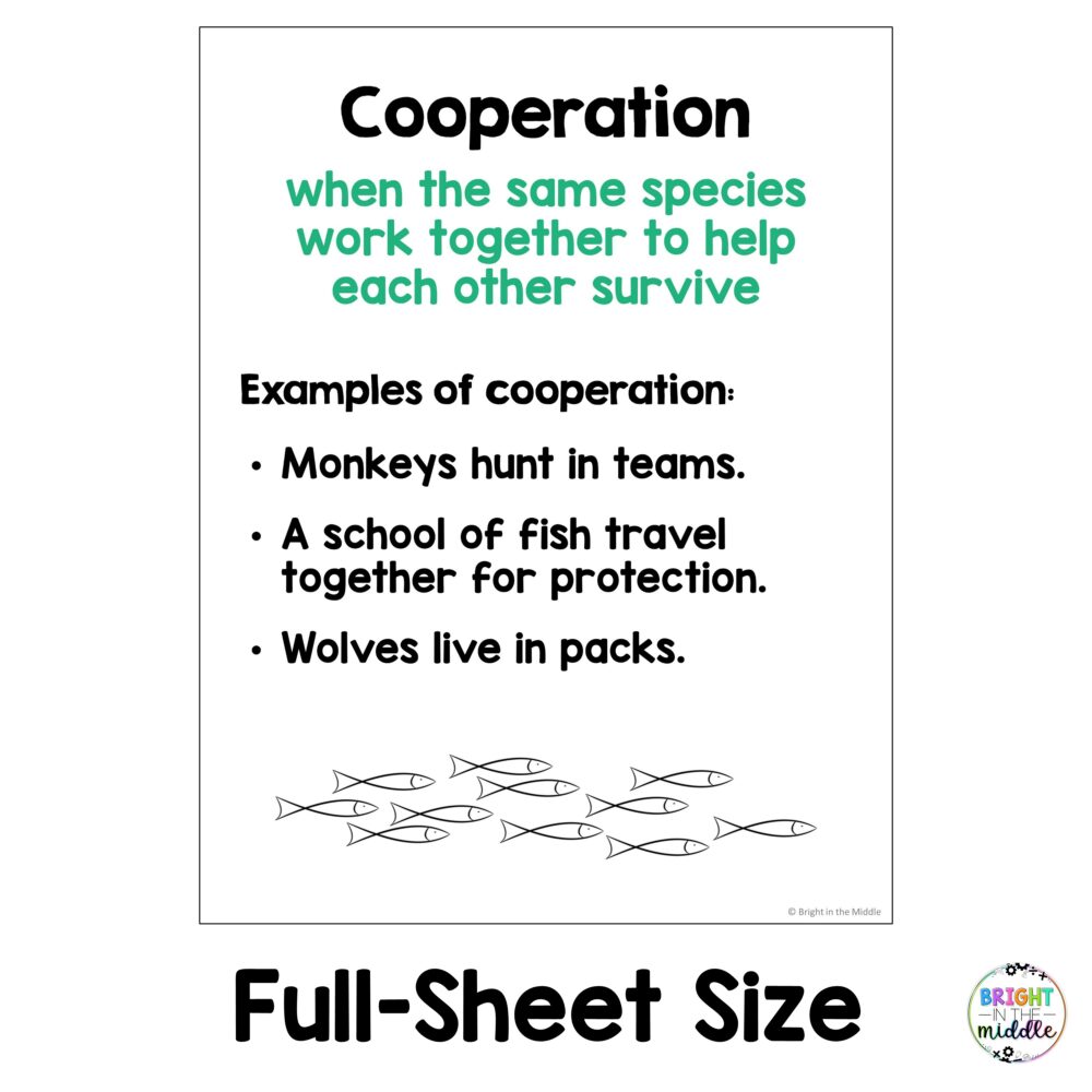 Ecosystems Posters - Bright in the Middle