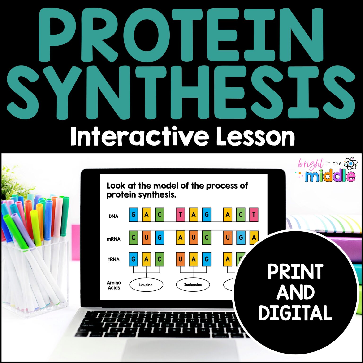 Protein Synthesis Lesson - Interactive - Bright in the Middle