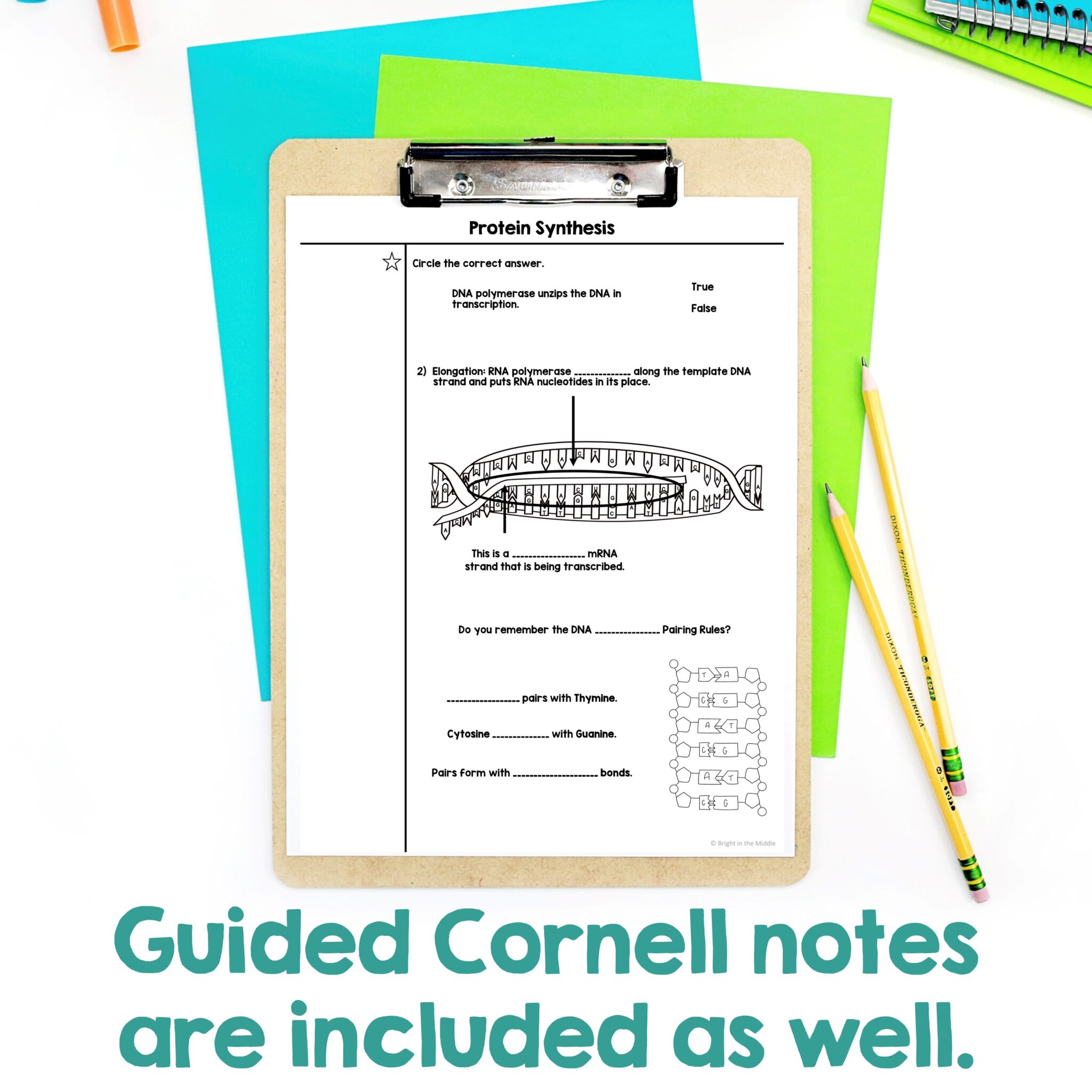 Protein Synthesis Lesson - Interactive - Bright in the Middle