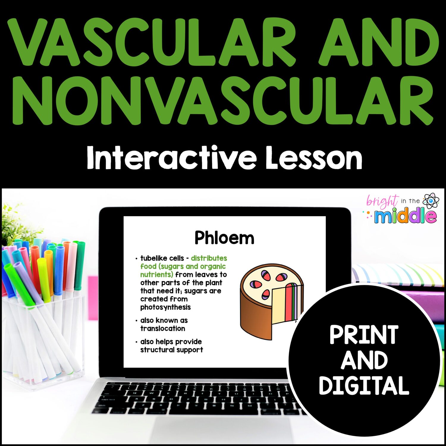 Nonvascular and Vascular Plants Interactive Lesson - Bright in the Middle