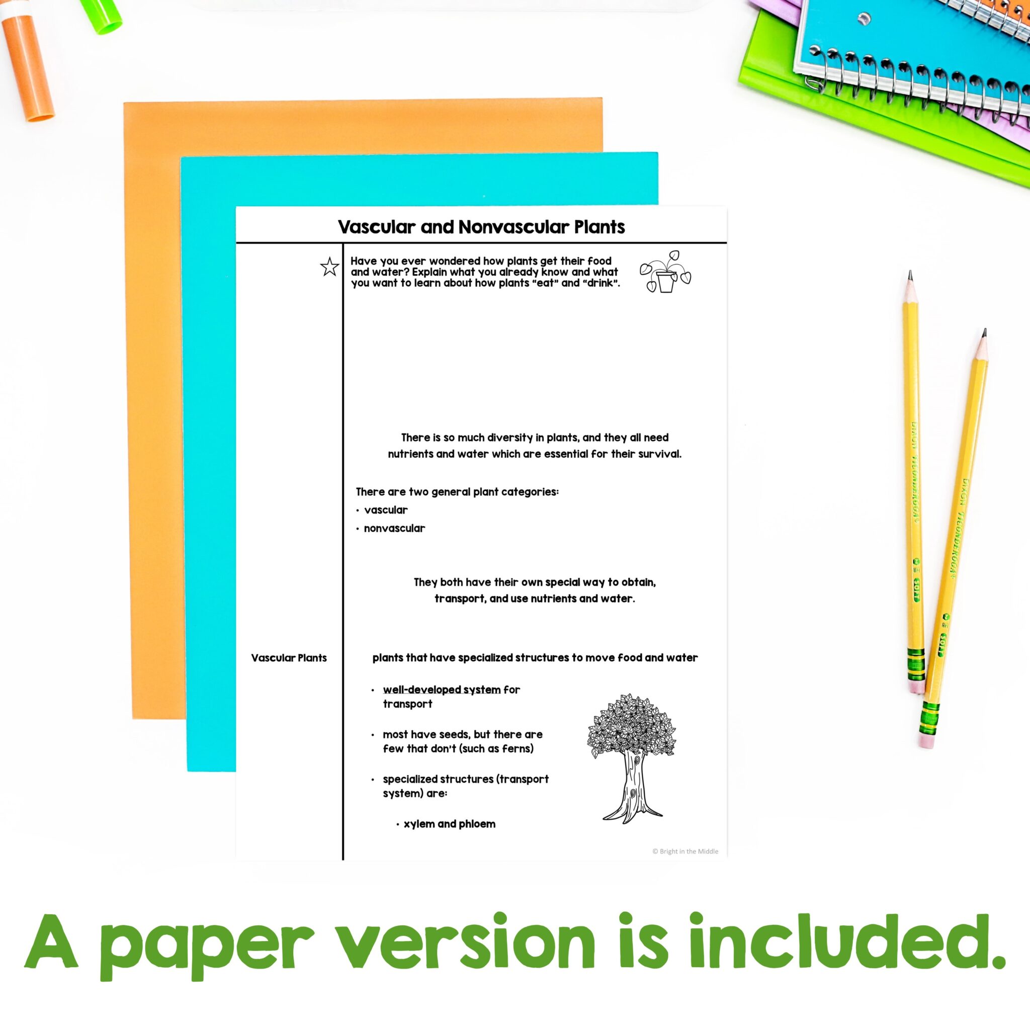 Nonvascular and Vascular Plants Interactive Lesson - Bright in the Middle