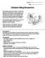 Dissect A Chicken Wing Activity - Bright in the Middle
