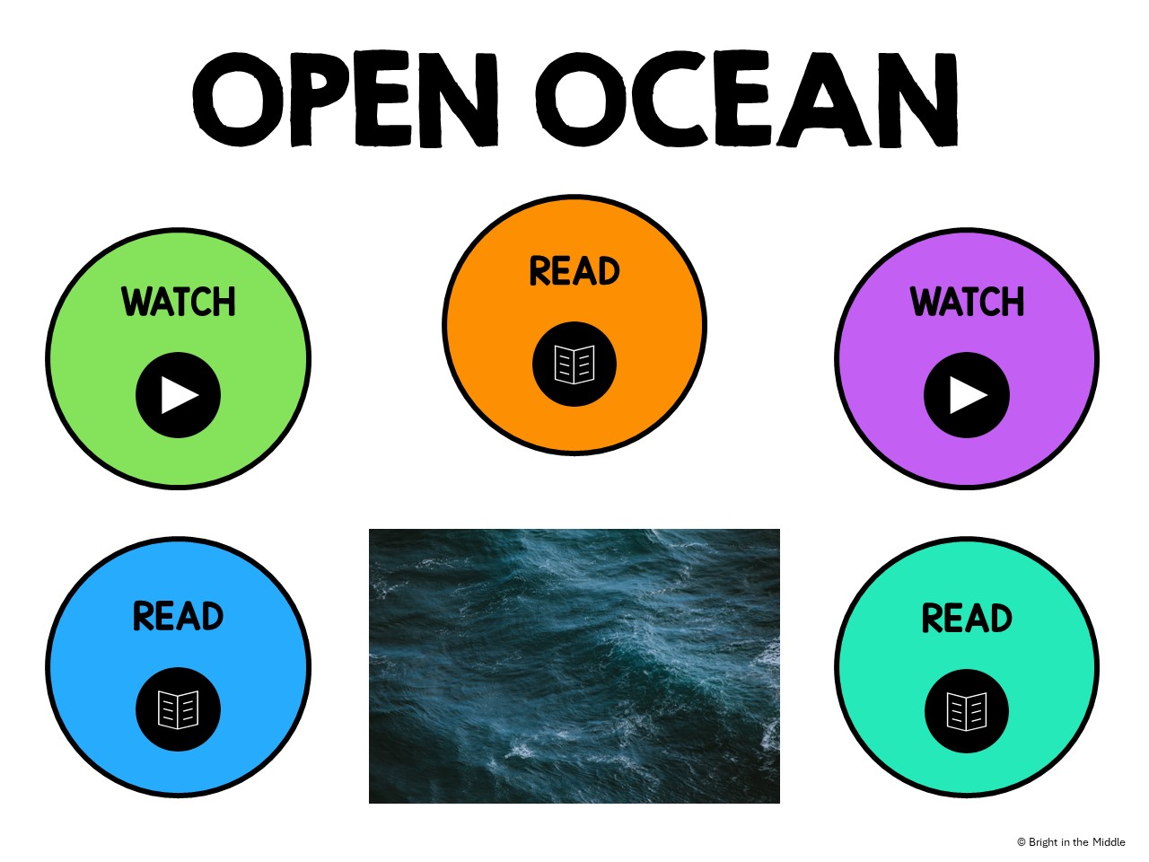 Ecosystem Interactions Research Project - Bright in the Middle