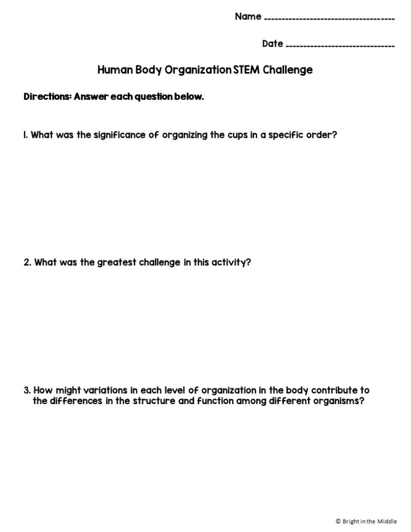 Human Body Levels of Organization - STEM Challenge - Bright in the Middle