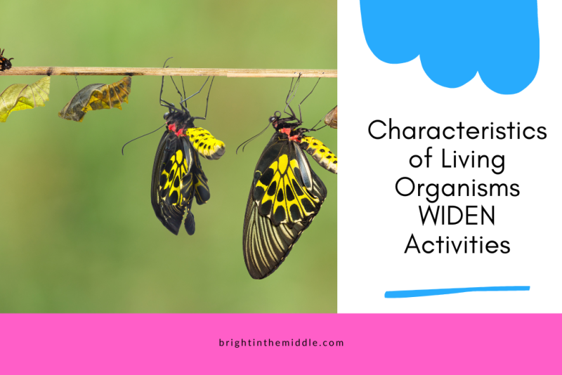 7 Characteristics of Living Organisms Teaching Ideas to Bring the WOW ...