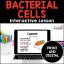 Bacterial Cell Lesson - Interactive - Bright in the Middle