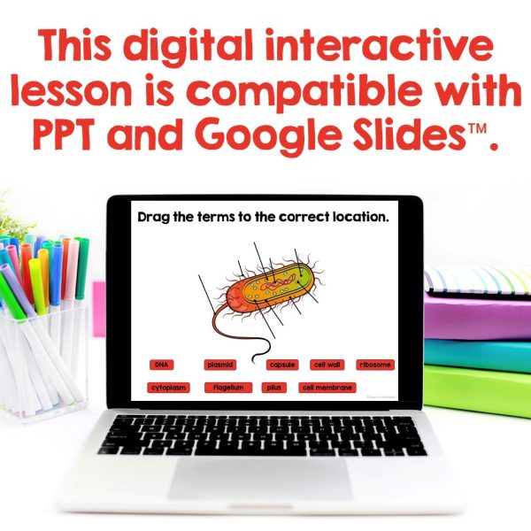 Bacterial Cell Lesson - Interactive - Bright in the Middle