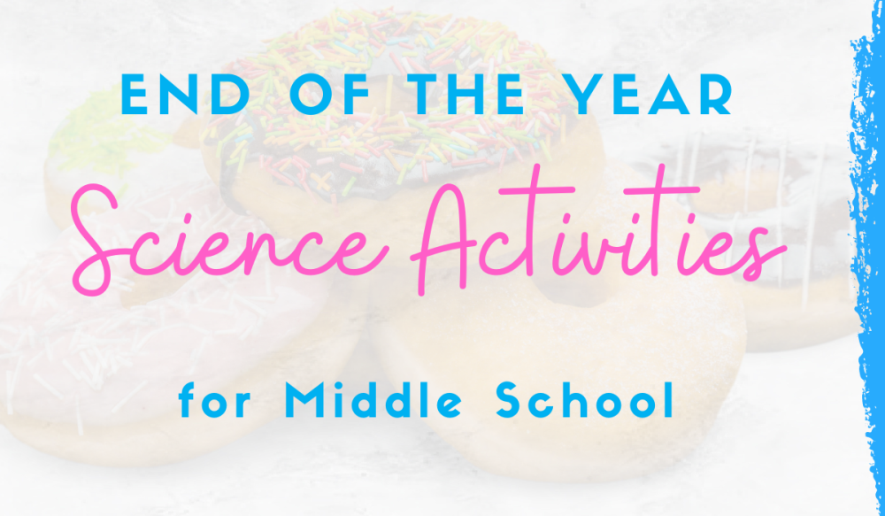 End of Year Science Activities