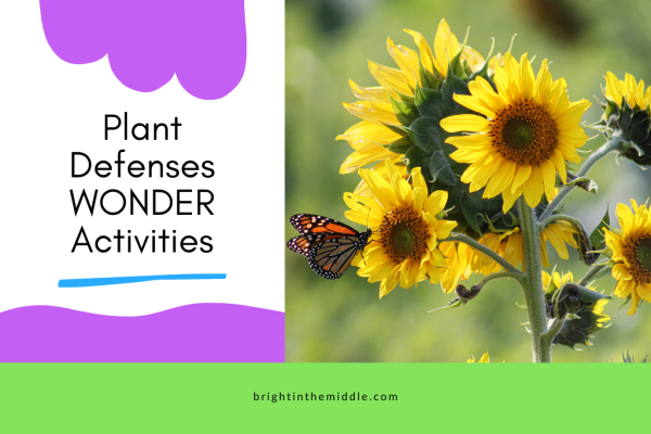 5 Plant Defenses Lesson Plan Ideas to WOW Your Students - Bright in the ...