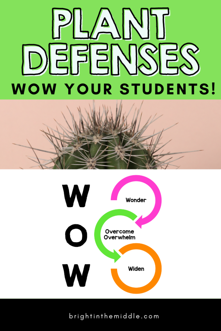 5 Plant Defenses Lesson Plan Ideas to WOW Your Students - Bright in the ...