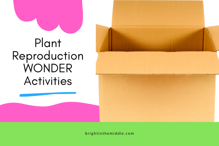 7 Ways to Teach Plant Reproduction Using the WOW Factor - Bright in the ...