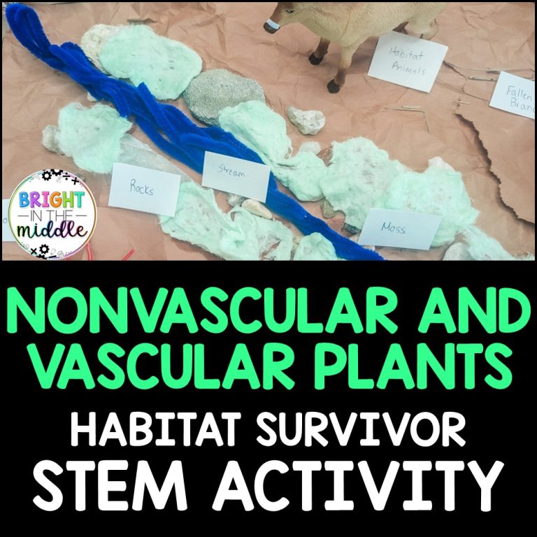 Nonvascular and Vascular Plants Activity – Habitat Survivor STEM ...