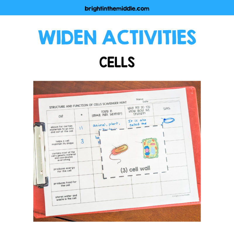 7 WOW Factor Ideas to Teach About the Cell and Its Organelles - Bright ...