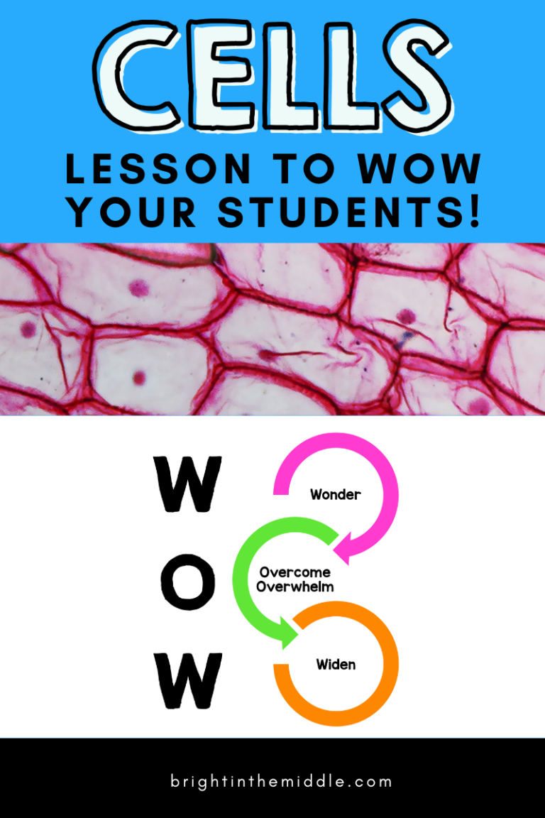 7 WOW Factor Ideas to Teach About the Cell and Its Organelles - Bright ...