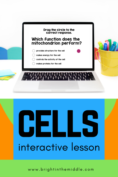 7 WOW Factor Ideas to Teach About the Cell and Its Organelles - Bright ...