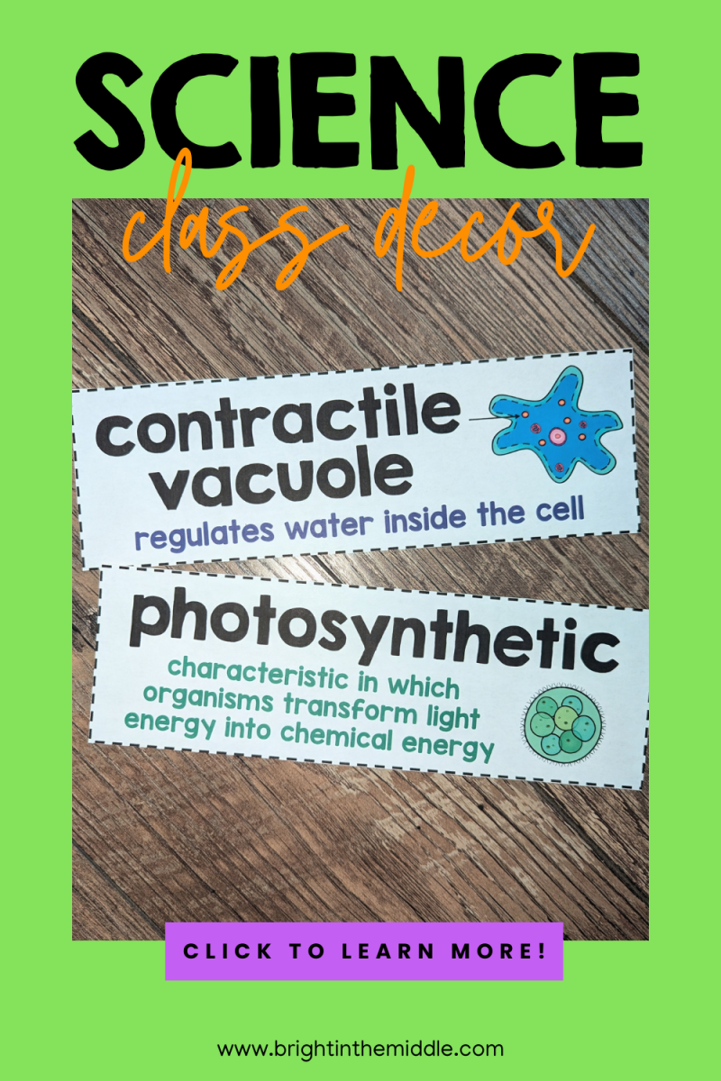 9 Science Classroom Décor Ideas That Are Actually Useful (Not Just Cute ...