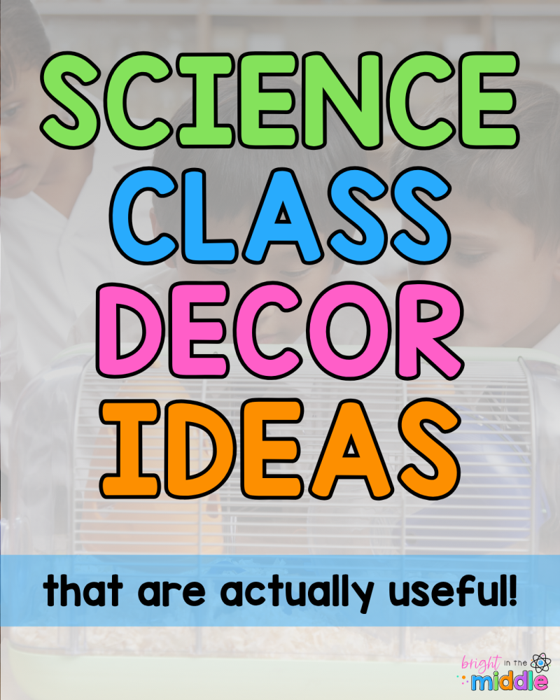 9 Science Classroom Décor Ideas That Are Actually Useful (Not Just Cute ...